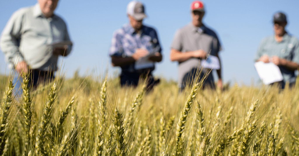 Farmer-Funded Research Fuels Progress | Texas Wheat Producers